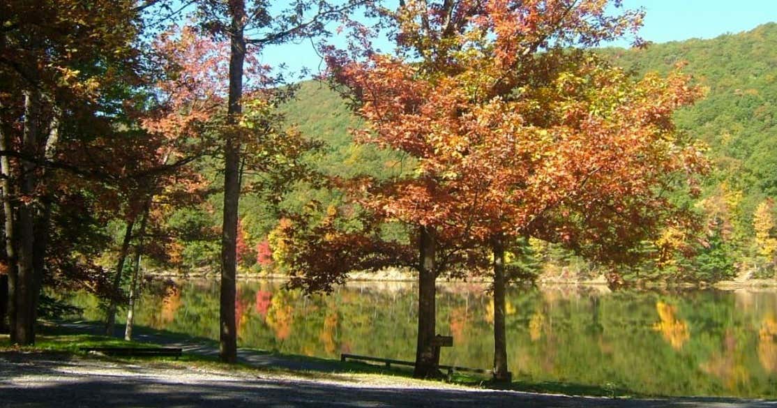 Manchester State Forest, Wedgefield | Roadtrippers