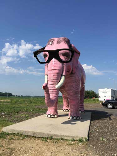 Photo of Pink Elephant | Roadtrippers