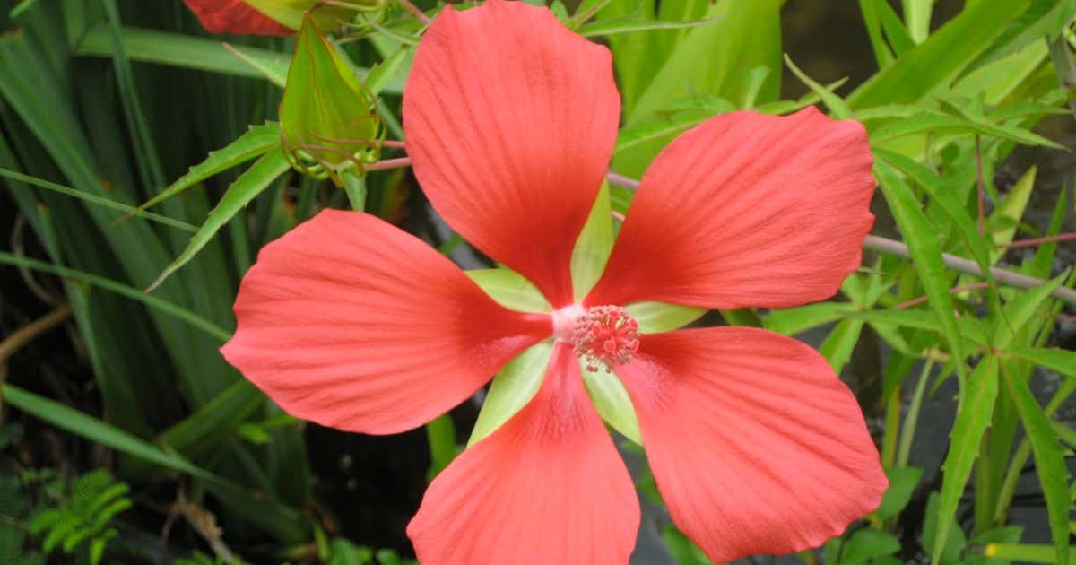 Luke Wood Park South, Sarasota | Roadtrippers