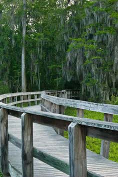 Photo of Phinizy Swamp Nature Park | Roadtrippers