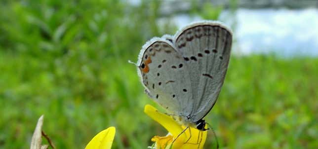 Russell-Abbott State Forest, Wilton | Roadtrippers