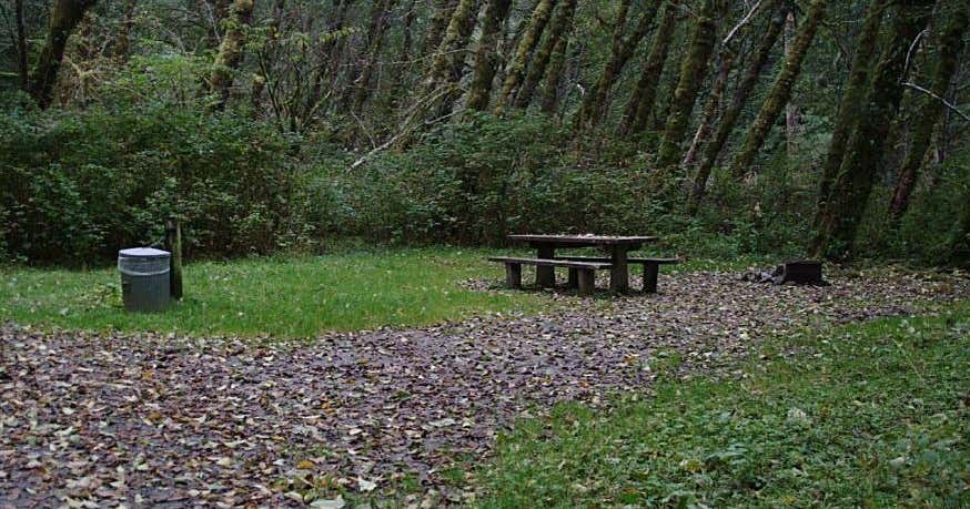 Coppermine Bottom Campground, Forks | Roadtrippers