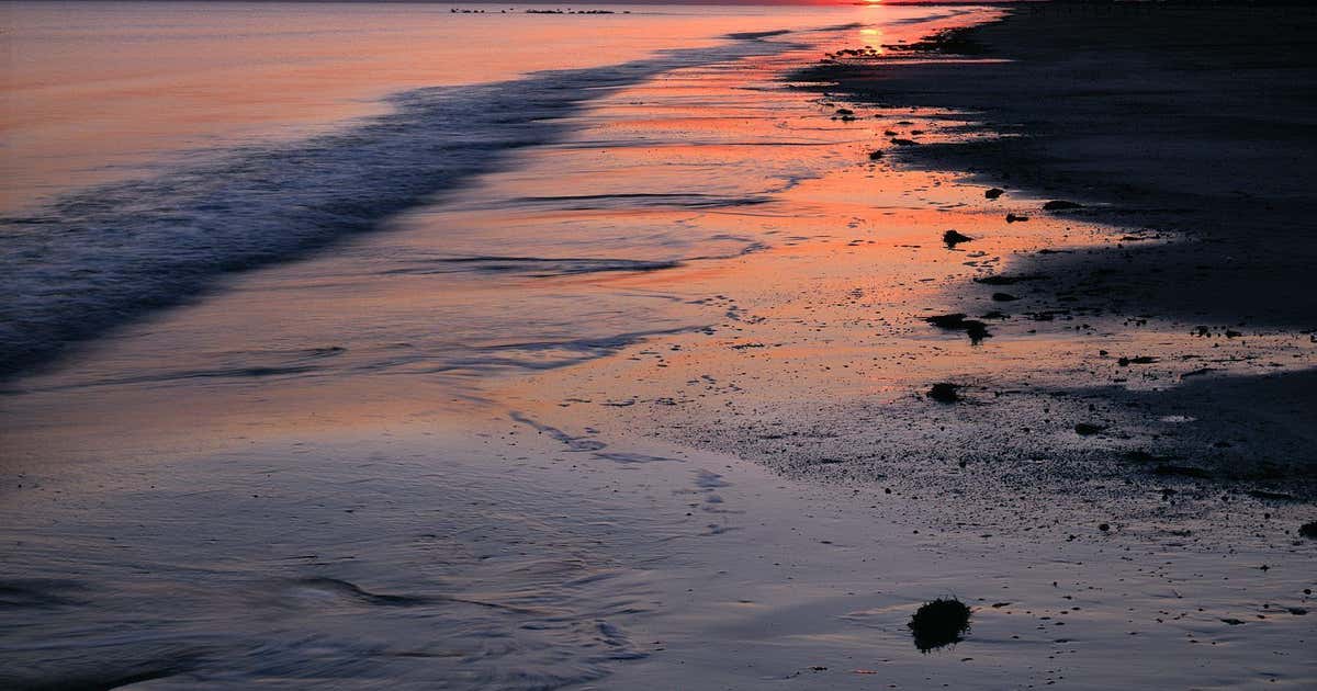 Sea Rim State Park, Texas | Roadtrippers