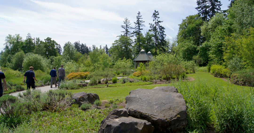 Cook Park Wetlands, Tigard | Roadtrippers