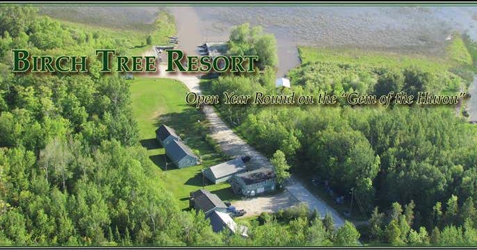 Birch Tree Resort, Drummond | Roadtrippers