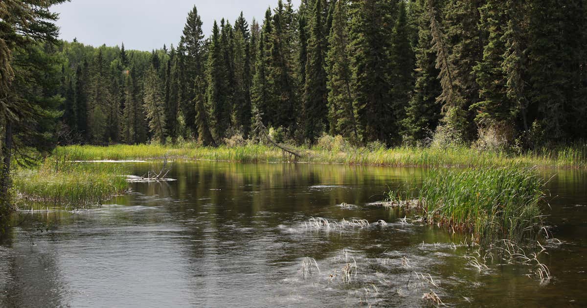 Prince Albert National Park, Saskatchewan | Roadtrippers