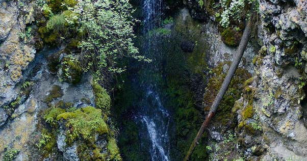 Indian Canyon Park, Spokane | Roadtrippers