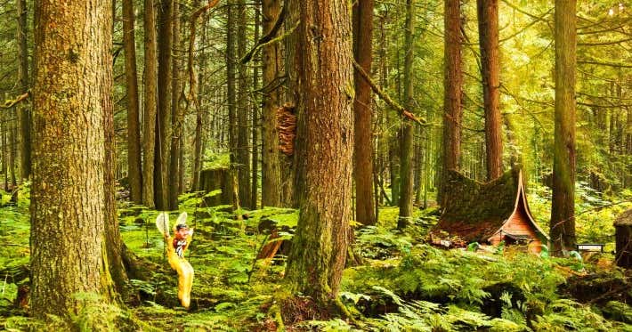The Enchanted Forest, British Columbia | Roadtrippers