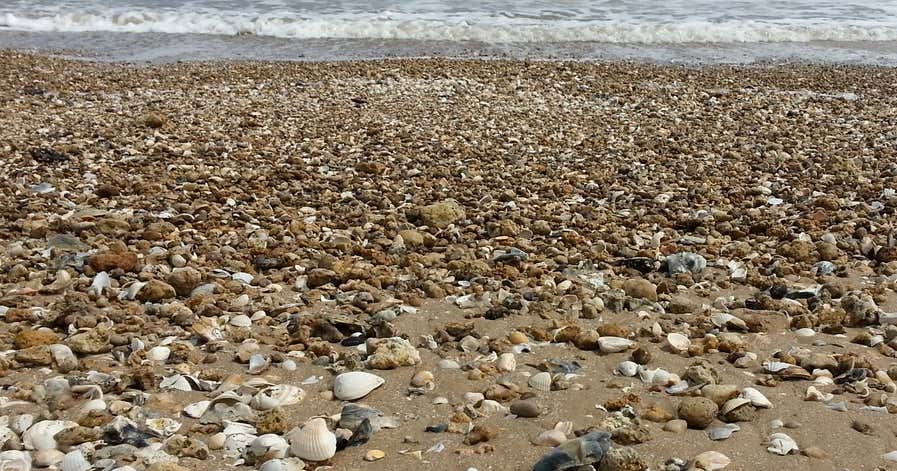 McFaddin Beach, Port Arthur | Roadtrippers