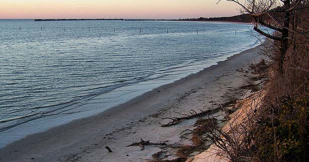 Kiptopeke State Park Campground, Cape Charles | Roadtrippers