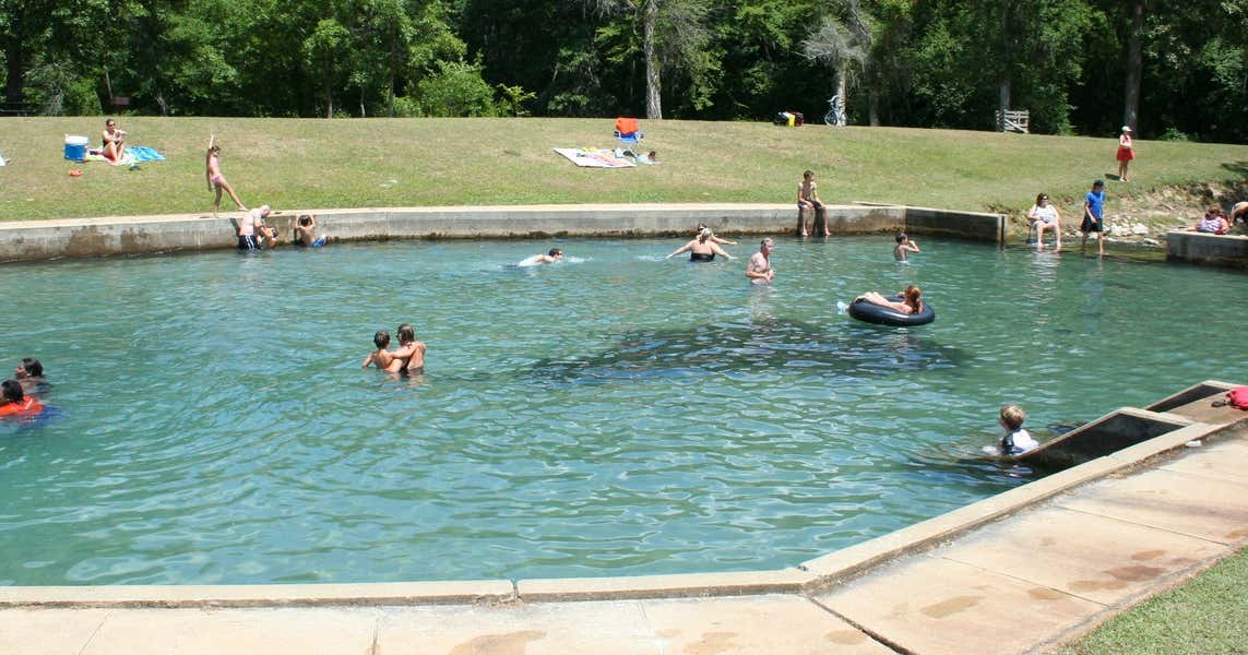 Blue Springs State Park, Clio | Roadtrippers