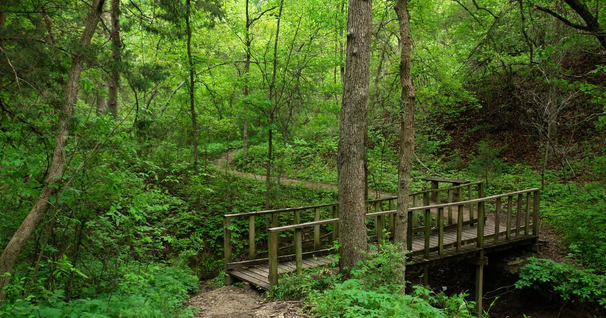 Cedar Ridge Preserve, Dallas | Roadtrippers