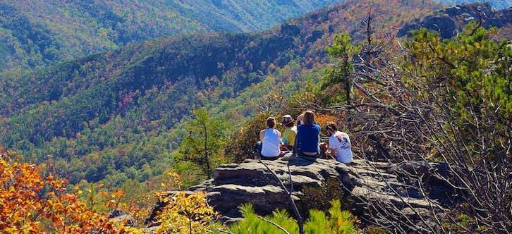 The Ultimate Guide to Shenandoah National Park | Roadtrippers
