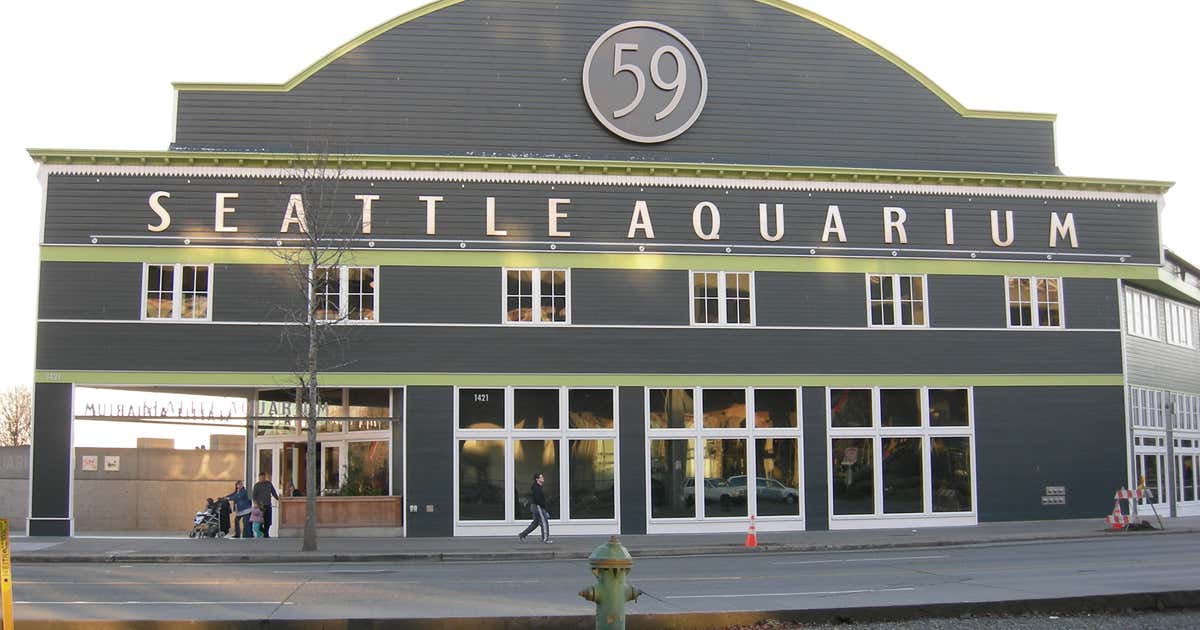 Seattle Aquarium, Seattle | Roadtrippers