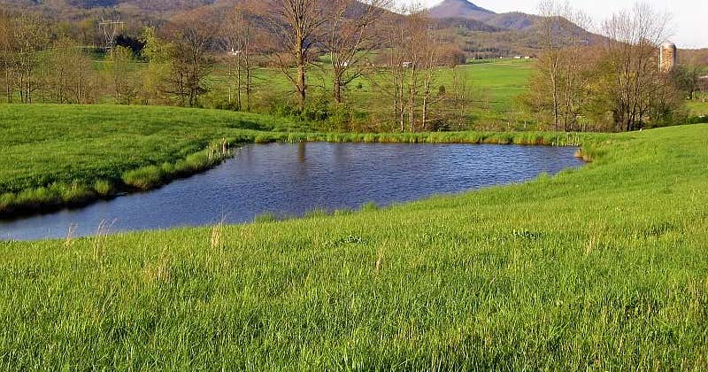Around Pond RV Park, Greeneville | Roadtrippers