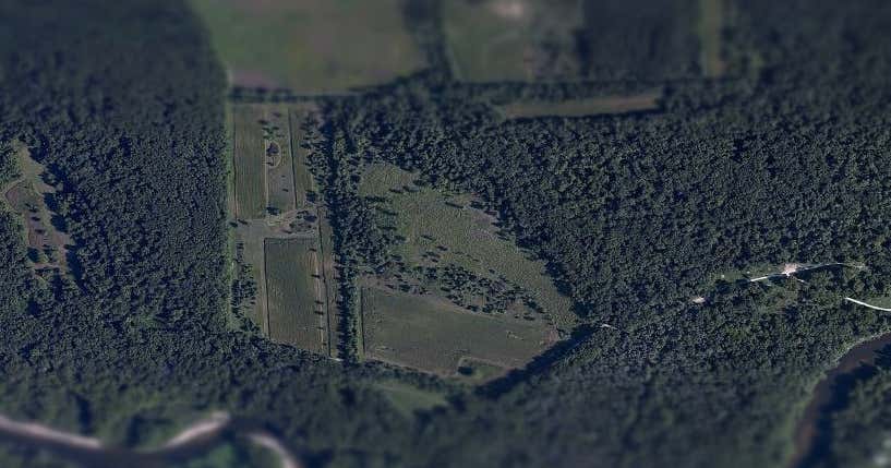 Matsell Bridge Natural Area, Central City | Roadtrippers