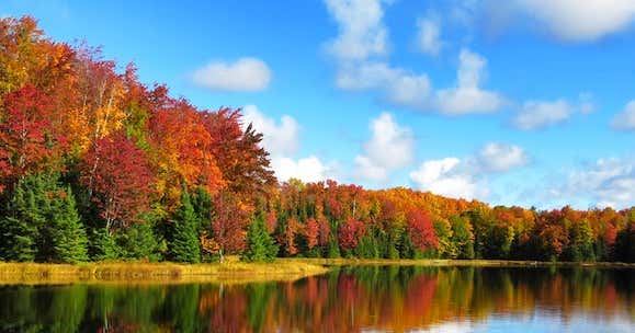 Northern Highland American Legion State Forest North Trout Lake ...
