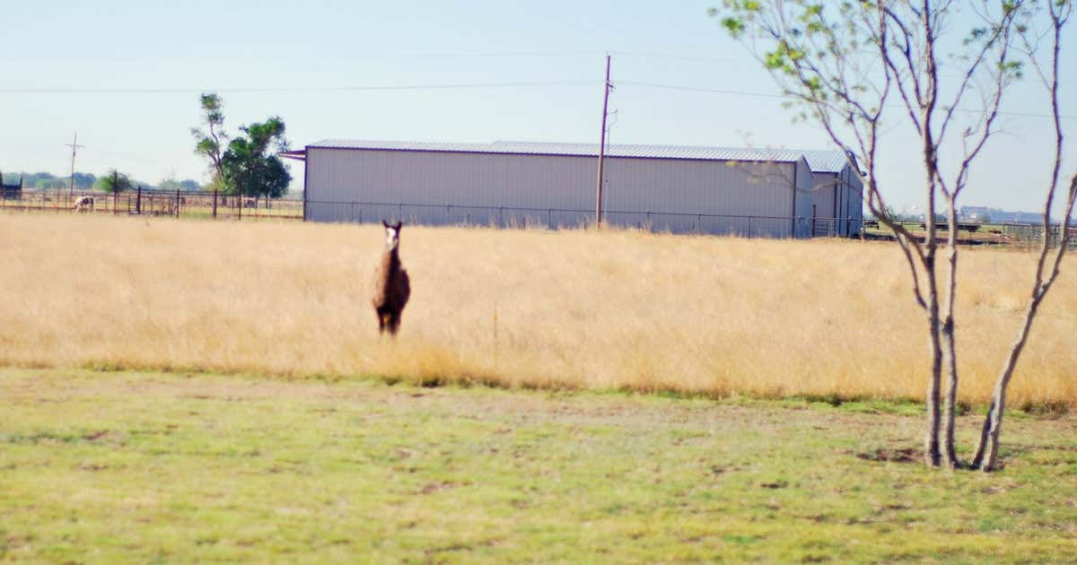 Chicken Farm from 'Napoleon Dynamite', Franklin | Roadtrippers