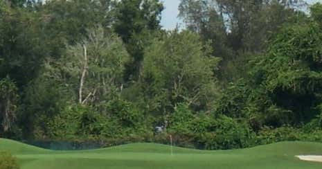 Plantation Palms Golf Club, Land O' Lakes | Roadtrippers