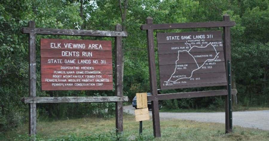 Dent's Run Elk Viewing Area, Benezette | Roadtrippers