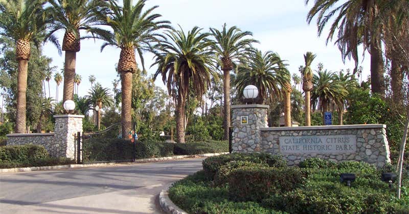 California Citrus State Historic Park, Riverside | Roadtrippers