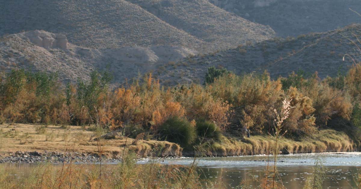 Black Gap Wildlife Management Area, Alpine | Roadtrippers