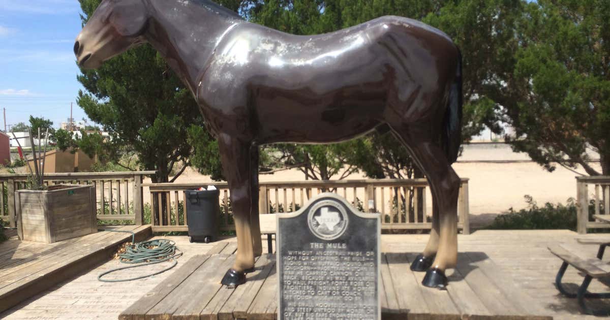 National Mule Memorial, Muleshoe | Roadtrippers