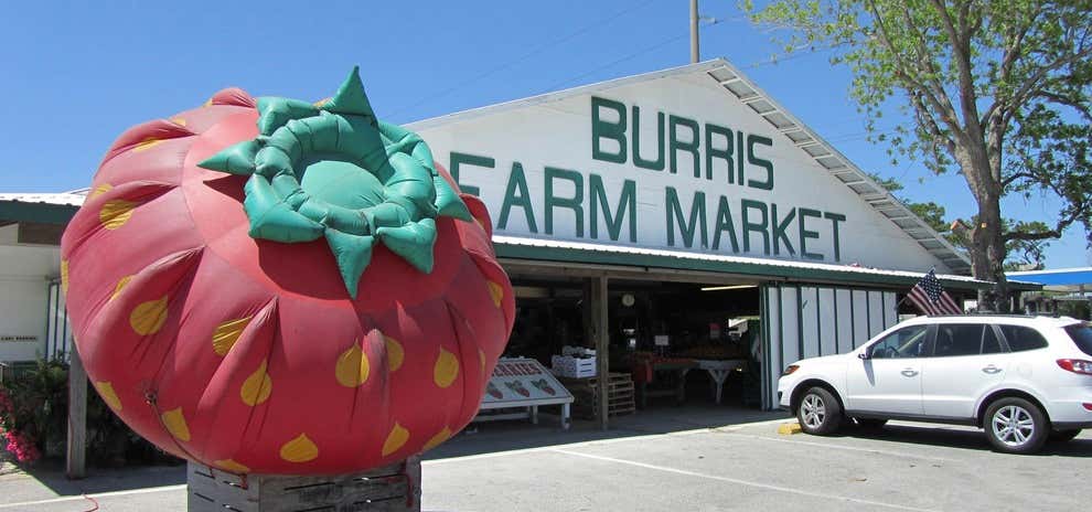 Burris Farm Market, Loxley | Roadtrippers
