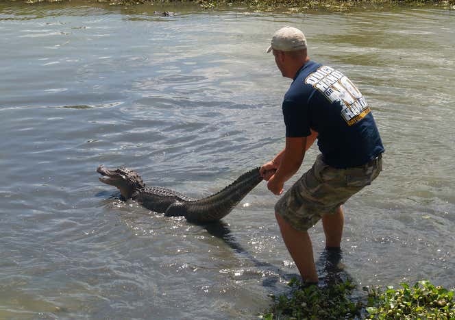 Photo of Gator Country Adventure Park | Roadtrippers