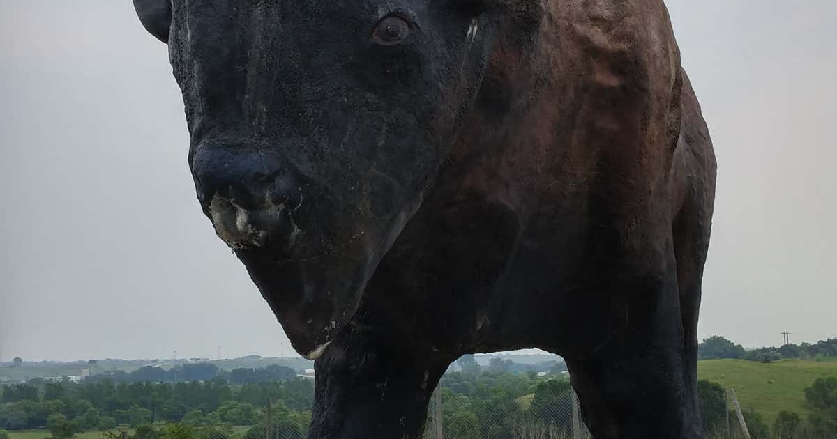 Worlds Largest Buffalo Monument, Jamestown | Roadtrippers