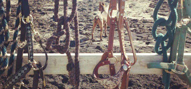 Navarro Ranch, Gilroy | Roadtrippers