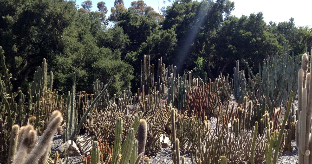 Ganna Walska Lotusland, Santa Barbara | Roadtrippers