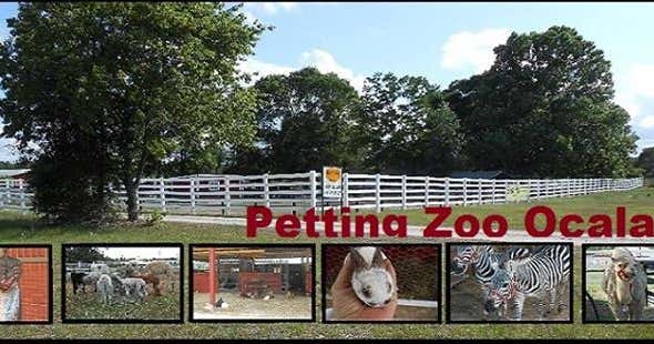Petting Zoo Ocala, Ocala | Roadtrippers