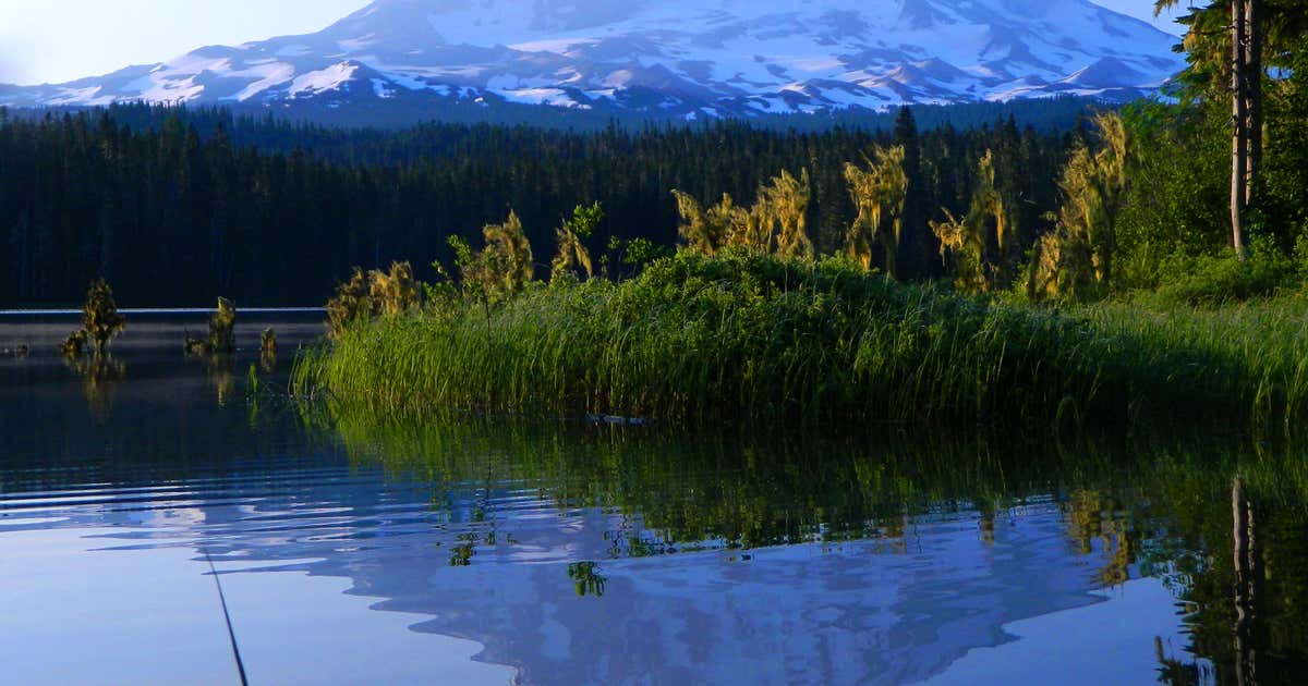 Walupt Lake Campground, Randle | Roadtrippers