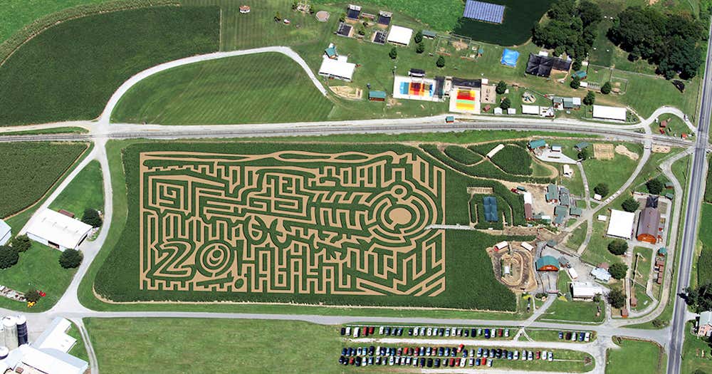 How Does Call Ahead Seating Work At Longhorn