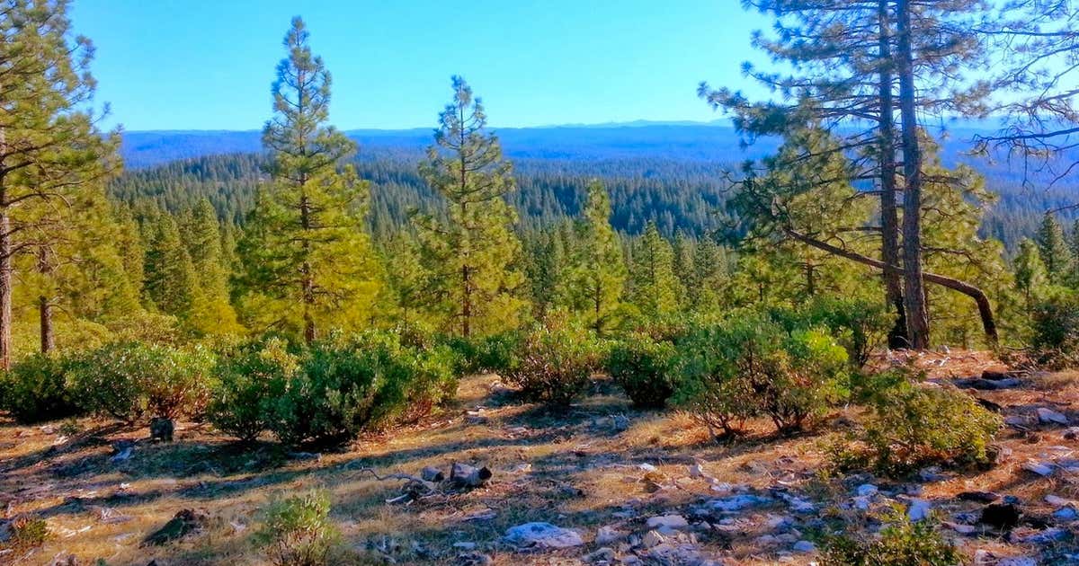 Arnold Rim Trail, Arnold | Roadtrippers