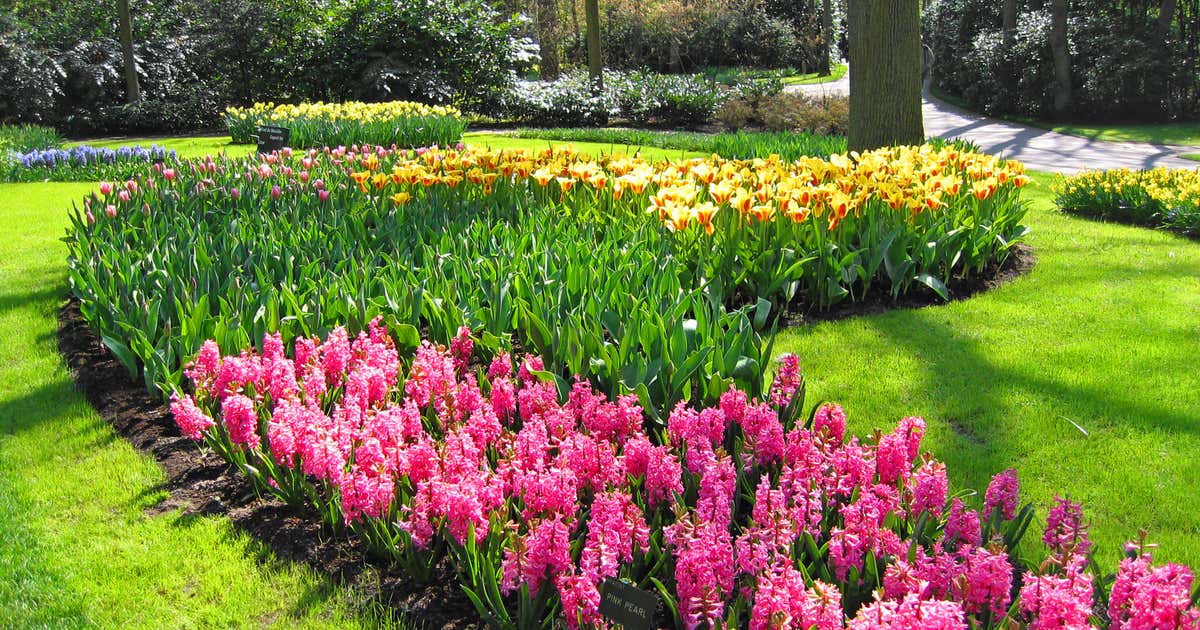 Botanical Gardens At Heritage Park, Grapevine | Roadtrippers