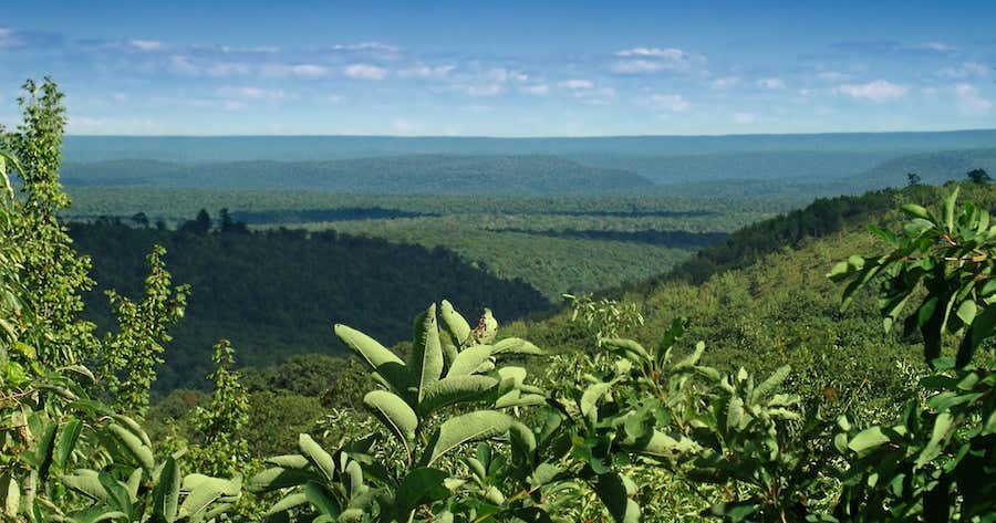 Two Rock Run Scenic View, Renovo | Roadtrippers