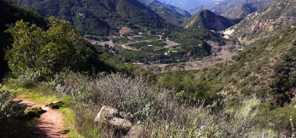 Cozy Dell Trail, Ojai | Roadtrippers