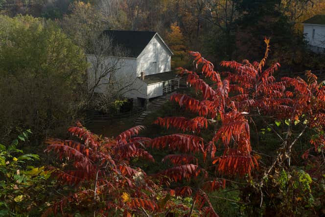 Photo of Mill Springs Mill | Roadtrippers