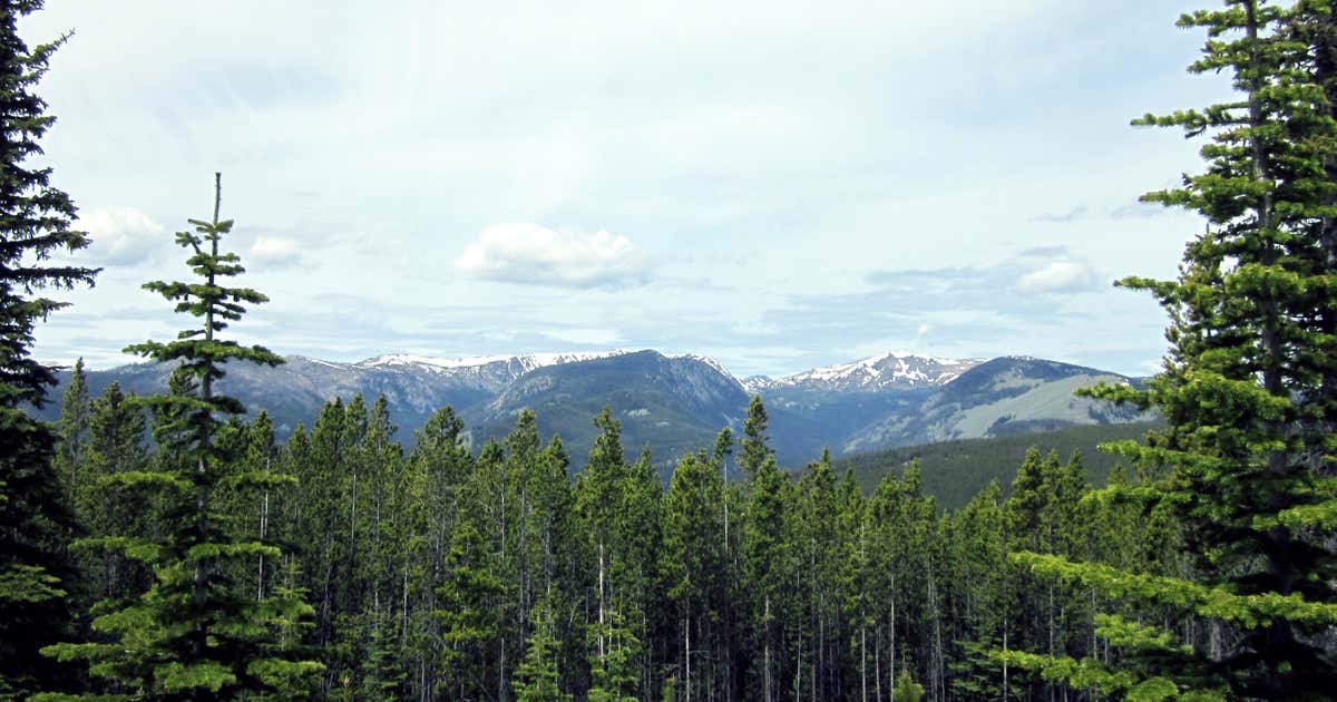 Cold Creek Campground, Yacolt | Roadtrippers