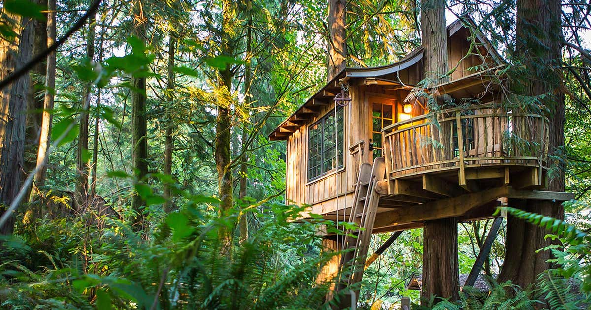 Treehouse Point, Issaquah | Roadtrippers