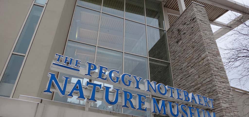 Peggy Notebaert Nature Museum, Chicago | Roadtrippers