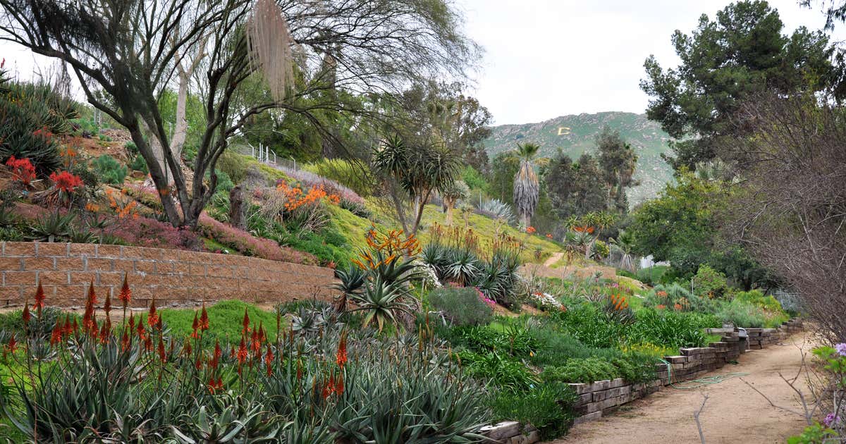 Ucr Botanic Gardens, Riverside | Roadtrippers
