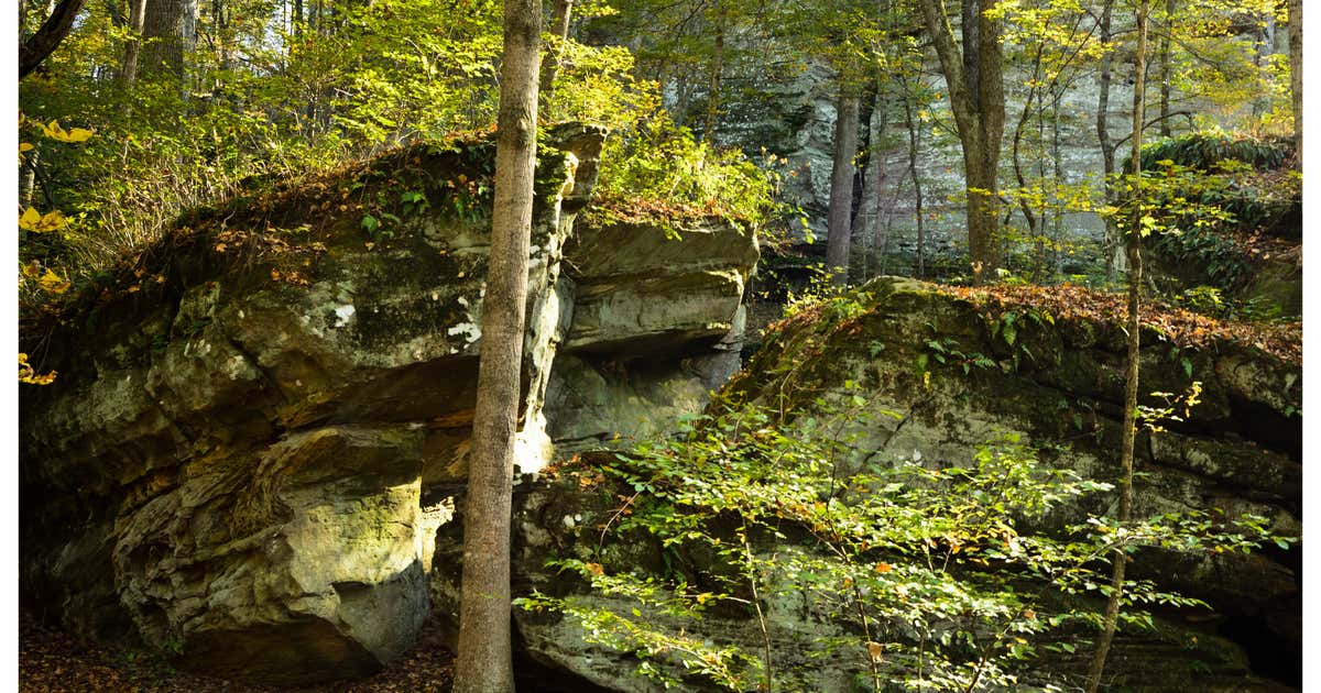 Ferne Clyffe State Park, Goreville | Roadtrippers