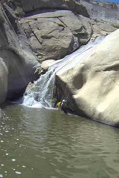 Photo of Seven Teacups | Roadtrippers