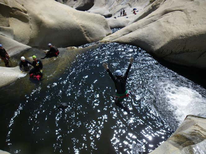 Photo of Seven Teacups | Roadtrippers