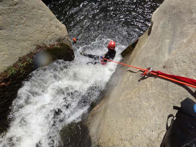 Photo of Seven Teacups | Roadtrippers