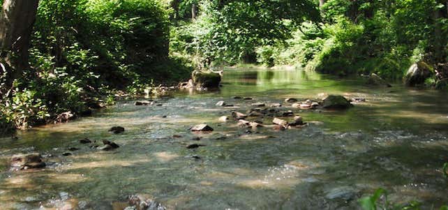 Buckaloons Recreation Area, Irvine | Roadtrippers