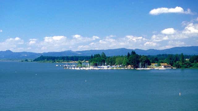 Are Dogs Allowed At Fern Ridge Reseroir